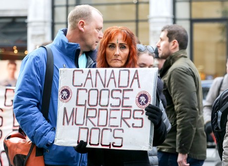 46 Protest sign placard anti fur Stock Pictures, Editorial Images and ...