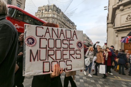 46 Protest sign placard anti fur Stock Pictures, Editorial Images and ...