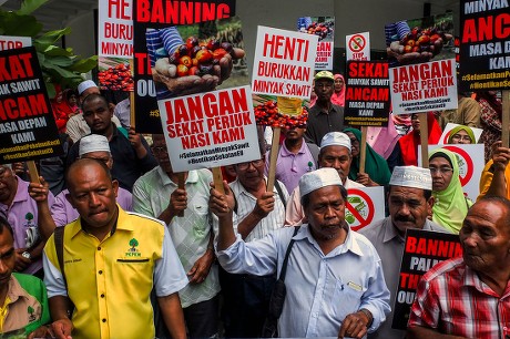 Protest against palm oil ban, Kuala Lumpur, Malaysia - 16 Jan 2018 ...