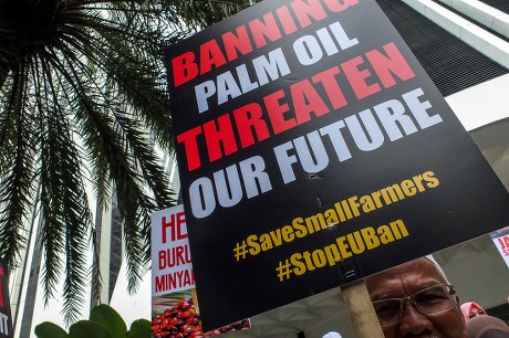 Protest against palm oil ban, Kuala Lumpur, Malaysia - 16 Jan 2018 ...