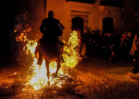 Horses Donkeys Mules Jump Over Fire Editorial Stock Photo - Stock Image ...