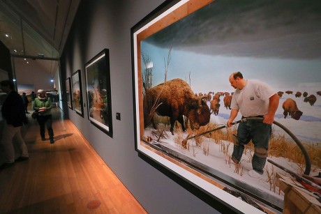 Artwork Man Buffalo Artist Richard Barnes Editorial Stock Photo - Stock ...