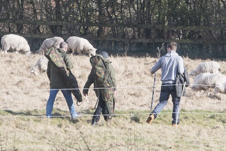 __COUNT__ imágenes de Wolf escapes from the UK Wolf Conservation Trust ...