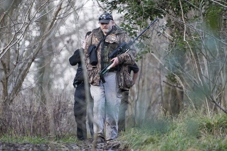 __COUNT__ Wolf escapes from the UK Wolf Conservation Trust, Berkshire ...