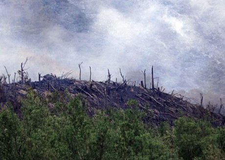 View Burnt Trees Rocks Lava Cascading Editorial Stock Photo - Stock ...