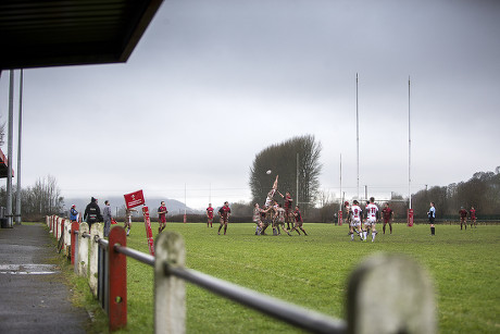 Jacob Botica Scarlets Editorial Stock Photo - Stock Image | Shutterstock