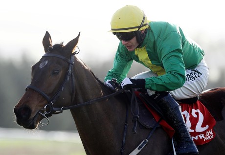 Gowran Racing, Gowran Park, Co. Kilkenny - 25 Jan 2018 Stock Pictures ...