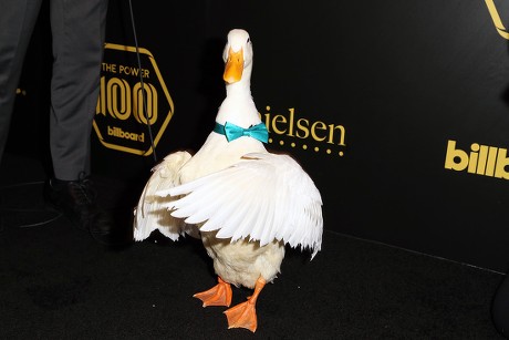 Aflac Duck Editorial Stock Photo - Stock Image | Shutterstock