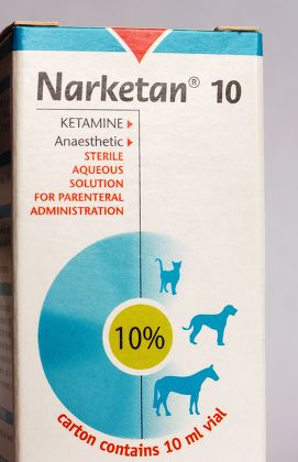 1 Narketan Stock Pictures, Editorial Images and Stock Photos | Shutterstock