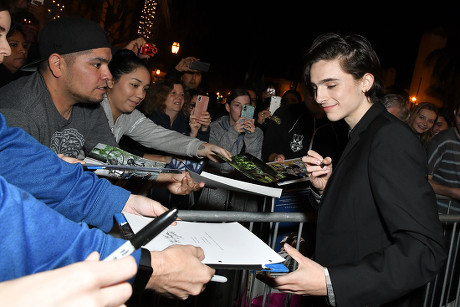 Timothee Chalamet Fans Editorial Stock Photo - Stock Image | Shutterstock