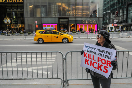 Protest against trophy hunting, New York, USA - 03 Feb 2018 Stock ...