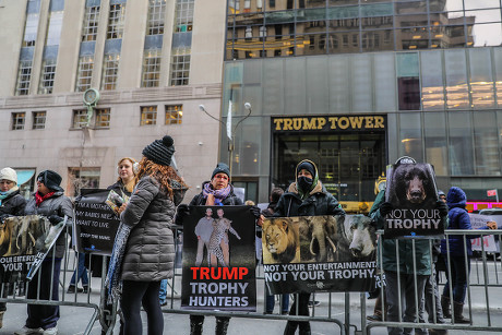Protest against trophy hunting, New York, USA - 03 Feb 2018 Stock ...