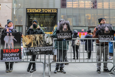 Protest against trophy hunting, New York, USA - 03 Feb 2018 Stock ...