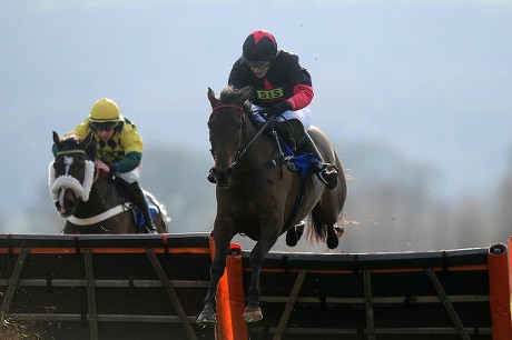 Trainer Colin Tizzard Race 1 105 Editorial Stock Photo - Stock Image ...