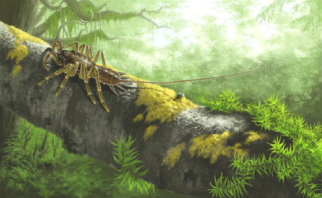 Picture Provided By Nanjing Institute Geology Editorial Stock Photo ...