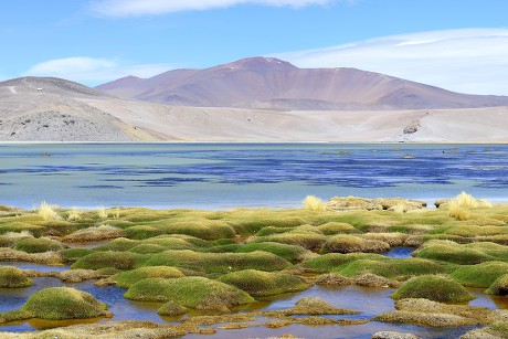 9 Mount santa rosa Stock Pictures, Editorial Images and Stock Photos ...