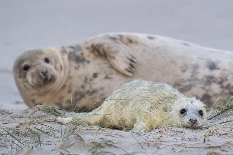 74 Closeness to nature Stock Pictures, Editorial Images and Stock ...