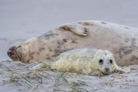 74 Closeness to nature Stock Pictures, Editorial Images and Stock ...