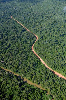 Road Through Amazon Rainforest Illegal Logging Editorial Stock Photo ...