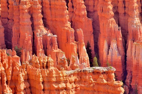 Red Eroded Limestone Columns Bryce Canyon Editorial Stock Photo - Stock ...
