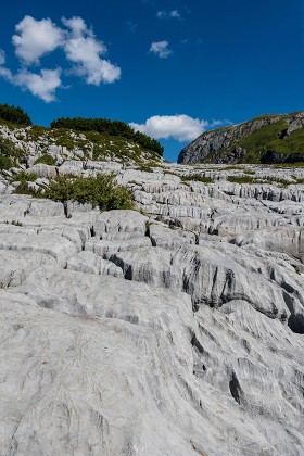 53 Rugged surface Stock Pictures, Editorial Images and Stock Photos ...