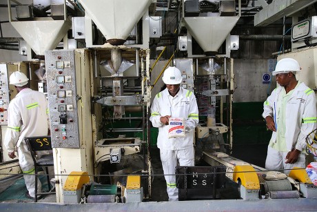 Laborers Work Tongaat Hulett Production Line Editorial Stock Photo ...