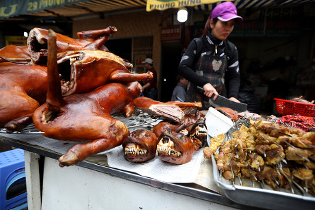 Woman Sells Dog Meat Market Stall Editorial Stock Photo - Stock Image ...