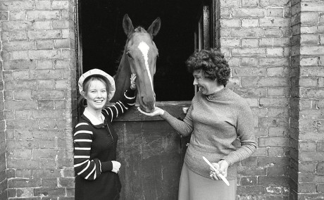 250 Diane grayson Stock Pictures, Editorial Images and Stock Photos ...