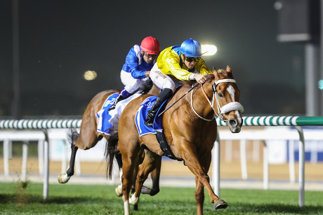Dubai Horse Racing, Meydan Racecourse, Dubai, United Arab Emirates - 17 ...
