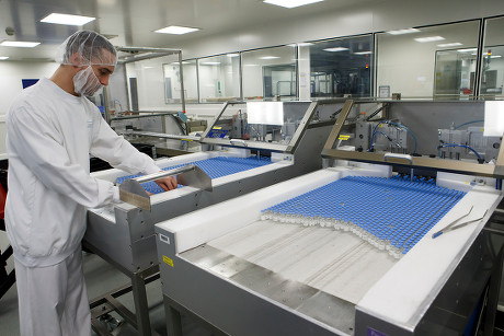 Employee Works Production Line Medicine Tractocile Editorial Stock ...