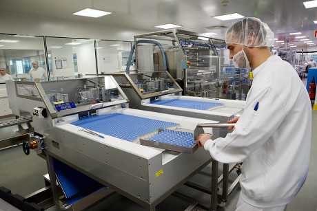 Employee Works Production Line Medicine Tractocile Editorial Stock ...