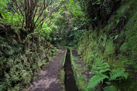 36 Levada trail Stock Pictures, Editorial Images and Stock Photos ...