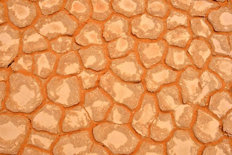 500 Mud pattern Stock Pictures, Editorial Images and Stock Photos ...