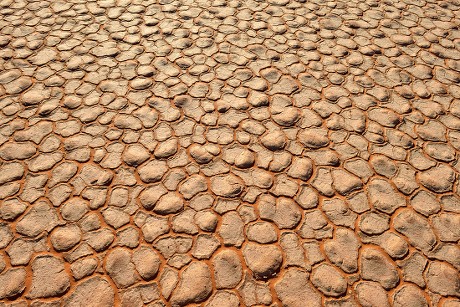 500 Mud pattern Stock Pictures, Editorial Images and Stock Photos ...