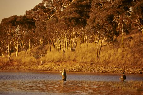 Fly Fishing Oberon Dam Nsw Australia Editorial Stock Photo - Stock ...