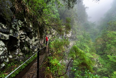 36 Levada trail Stock Pictures, Editorial Images and Stock Photos ...