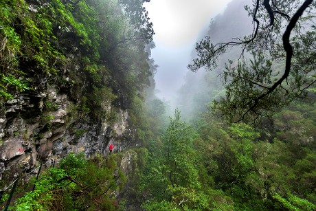 36 Levada trail Stock Pictures, Editorial Images and Stock Photos ...