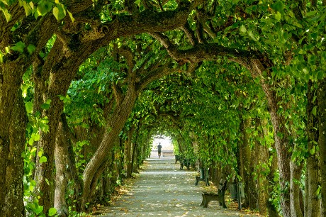 53 Lime alley Stock Pictures, Editorial Images and Stock Photos ...