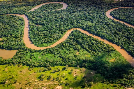 250 Aerial view of jungle Stock Pictures, Editorial Images and Stock ...
