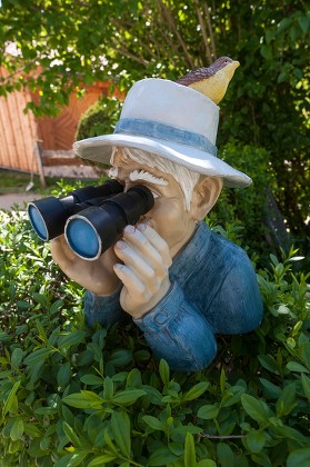 Human Figure Bird On Hat Binoculars Editorial Stock Photo - Stock Image ...