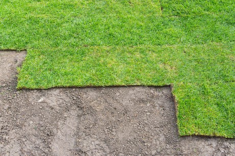 Laying Turf Rolls North Rhinewestphalia Germany Editorial Stock Photo ...