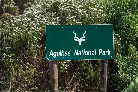 Agulhas National Park Sign Kudu Province Editorial Stock Photo - Stock ...