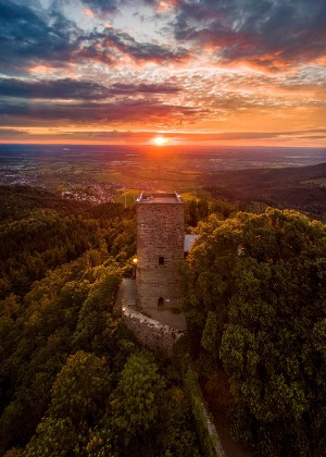 500 Kernen Stock Pictures, Editorial Images and Stock Photos | Shutterstock