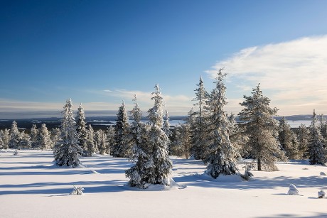250 Posio Stock Pictures, Editorial Images and Stock Photos | Shutterstock