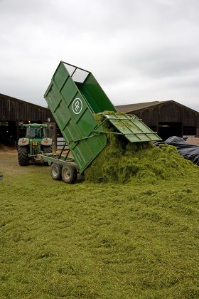 John Deere Tractor Trailer Tipping Silage Editorial Stock Photo - Stock ...