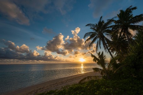 Sandy Beach Palm Trees Sunset Rarotonga Editorial Stock Photo - Stock ...