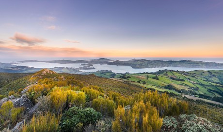 View Mount Cargill Dunedin Otago Harbor Editorial Stock Photo - Stock ...