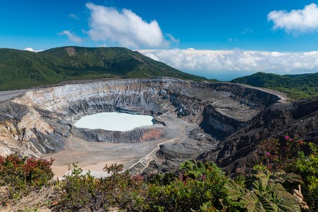 250 Poas Stock Pictures, Editorial Images and Stock Photos | Shutterstock