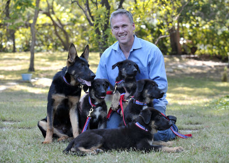 James Symington 5 German Shepherd Puppies Editorial Stock Photo - Stock ...