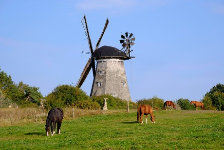 63 Feed mill Stock Pictures, Editorial Images and Stock Photos ...